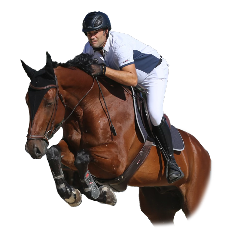 Domaine équestre du Poët centre équestre poney club & compétitions à 5 ...